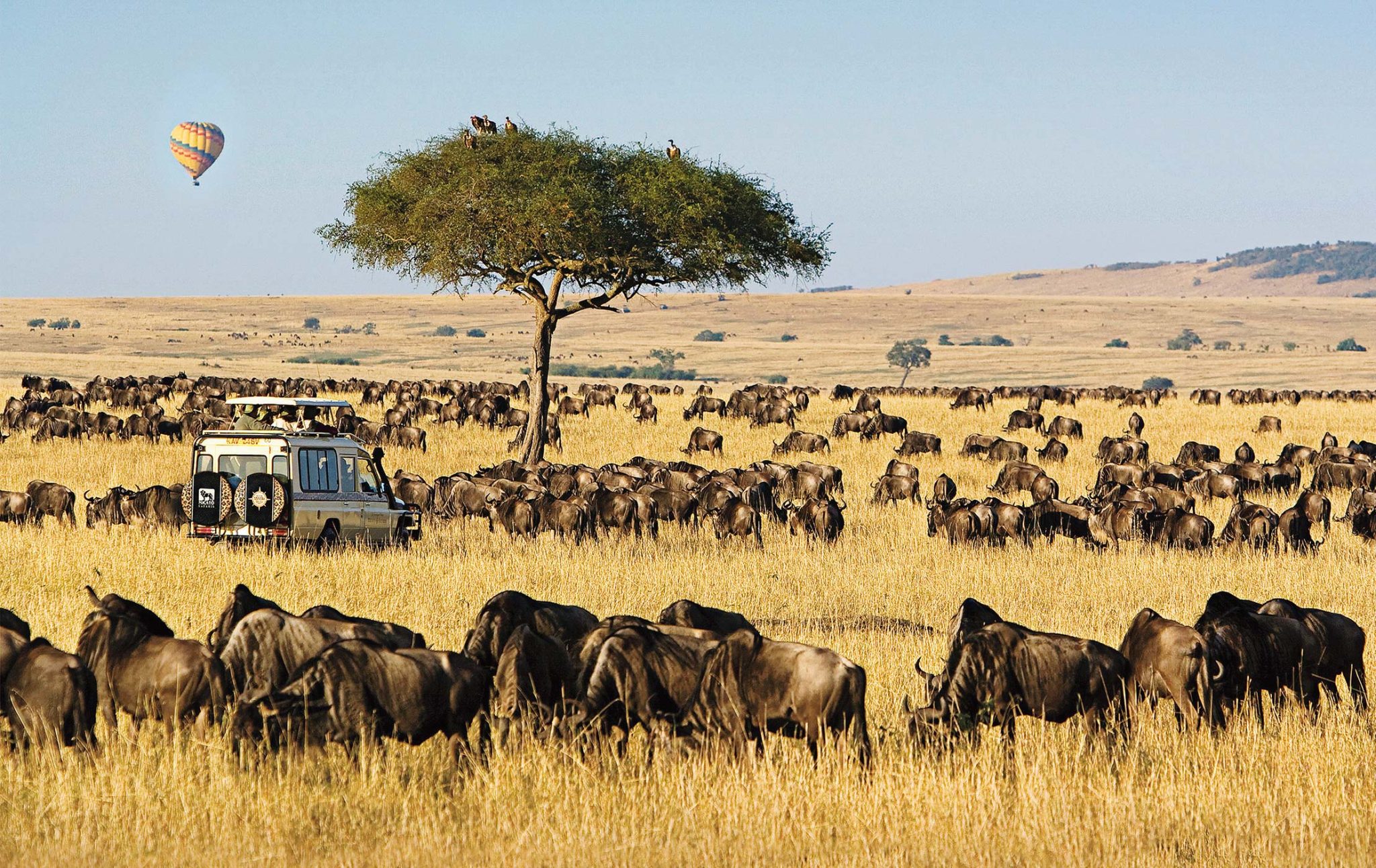 Tourism In Kenya- A Comprehensive Guide- Rent A Driver Kenya